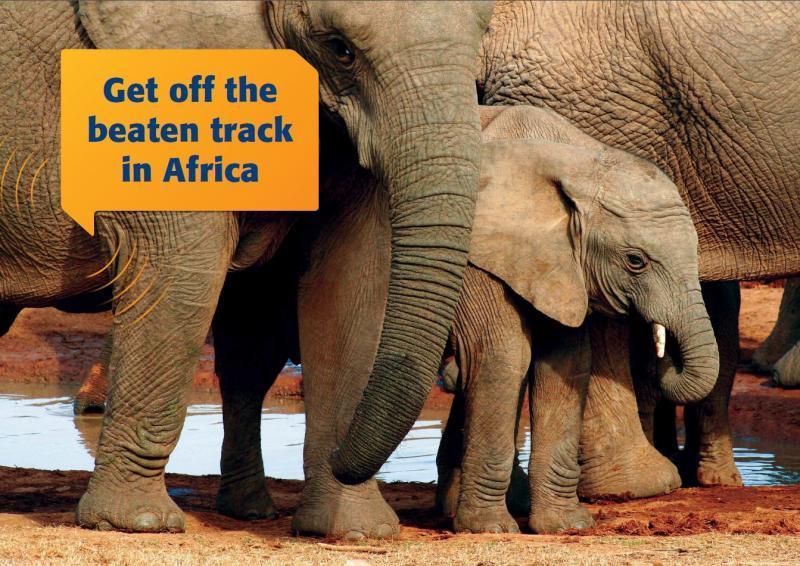 HelloWorld Travel | Eastern Bay Weddings